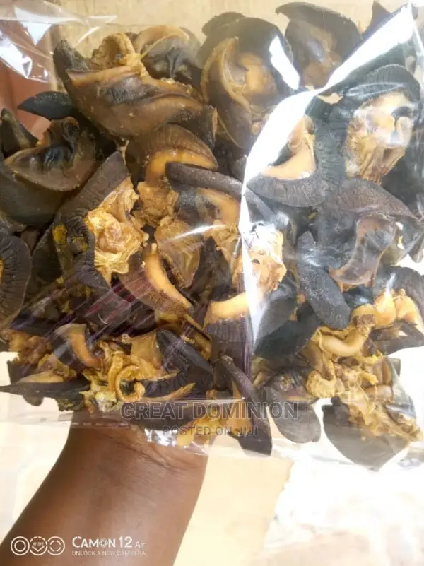 Dry Snail For Local And Diaspora in Ikeja - Meals & Drinks, Great ...