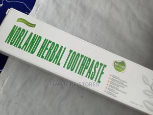 Brush Twice Daily Wit Norland Toothpaste Prevent Tooth Decay in Port ...