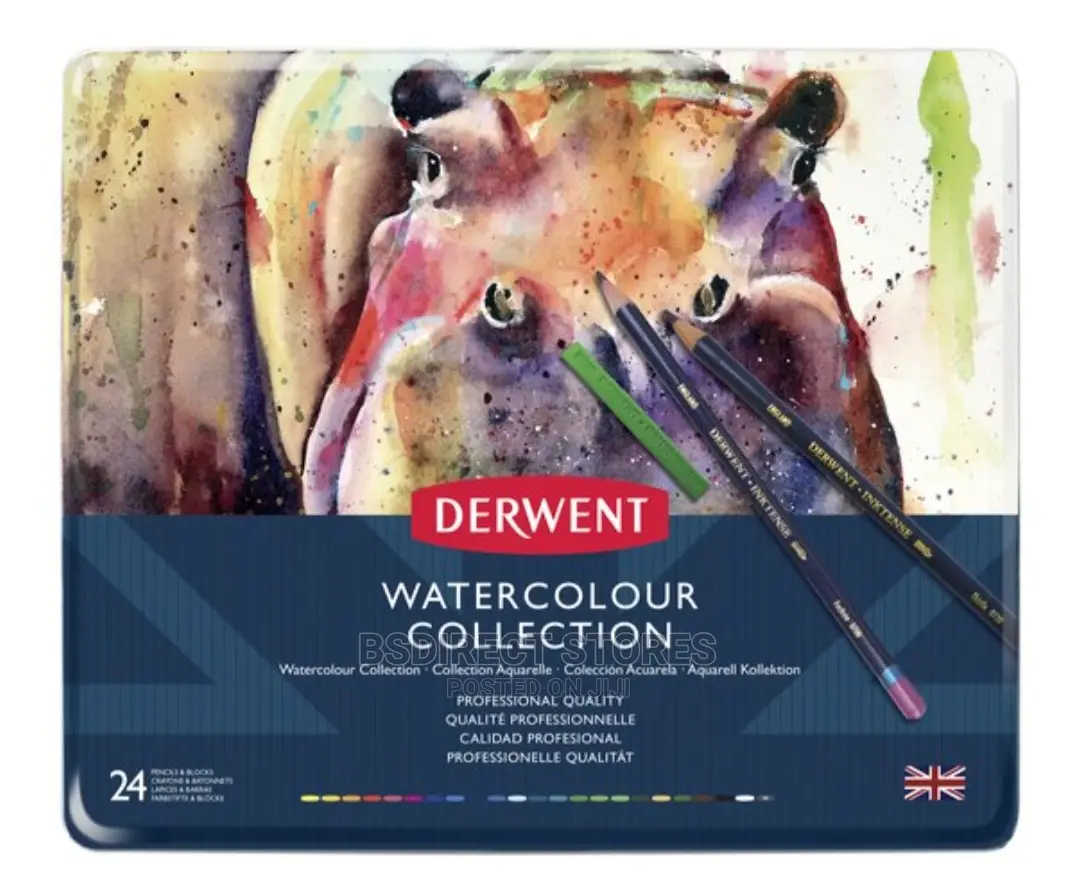 Derwent Watercolour Artists Pencils, Painting Drawing 24 in Utako ...