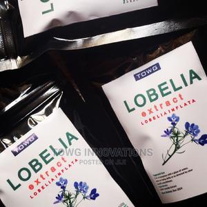 Lobelia Extract Powder 100g in Magodo - Vitamins & Supplements, Jazmel ...
