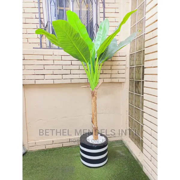 Artificial Banana Tree Potted With Cylinder Fiberglass Pot in Ikeja ...