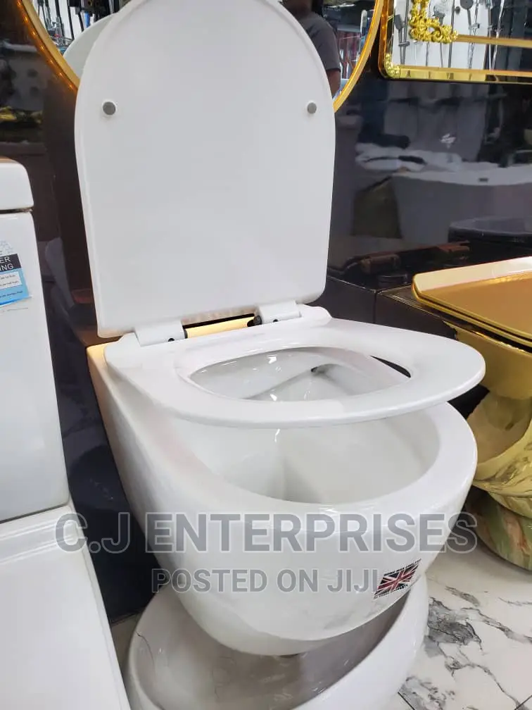 Conceal Tank and Wall Wc Sit in Lekki - Plumbing & Water Supply, C J ...