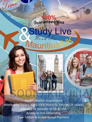 Travel to Mauritius at Ease in Ikeja - Travel Agents & Tours, Sodiq ...