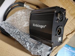 Phantom Power Birdsinger in Mushin - Audio & Music Equipment, C ...