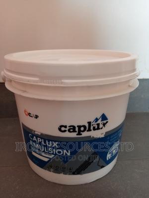 Caplux Emulsion Paint 4ltr. in Lekki - Building Materials, Iron ...