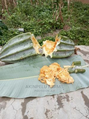 Organic Ugwu Seed/Seedlings. in Alimosho - Feeds, Supplements & Seeds ...