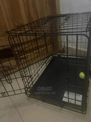 Pet Accessories in Nigeria for sale Prices on Jiji.ng