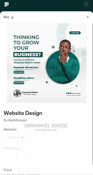 Website (Paystack Storefront) in Ikeja - Computer & IT Services, Edozie ...