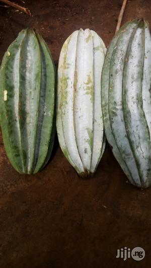 Improved Fluted Pumpkin Big Open Leaf Ugu Calabar Pods in Abak - Feeds ...